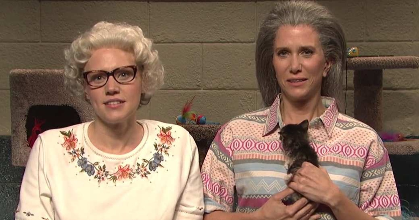 Picture of Saturday Night Live