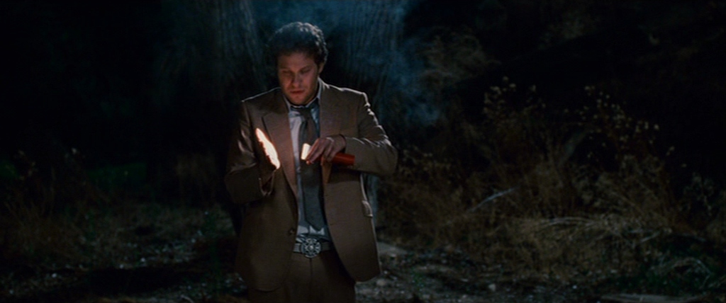 Pineapple Express (2008) image