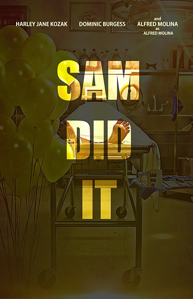 Picture of Sam Did It