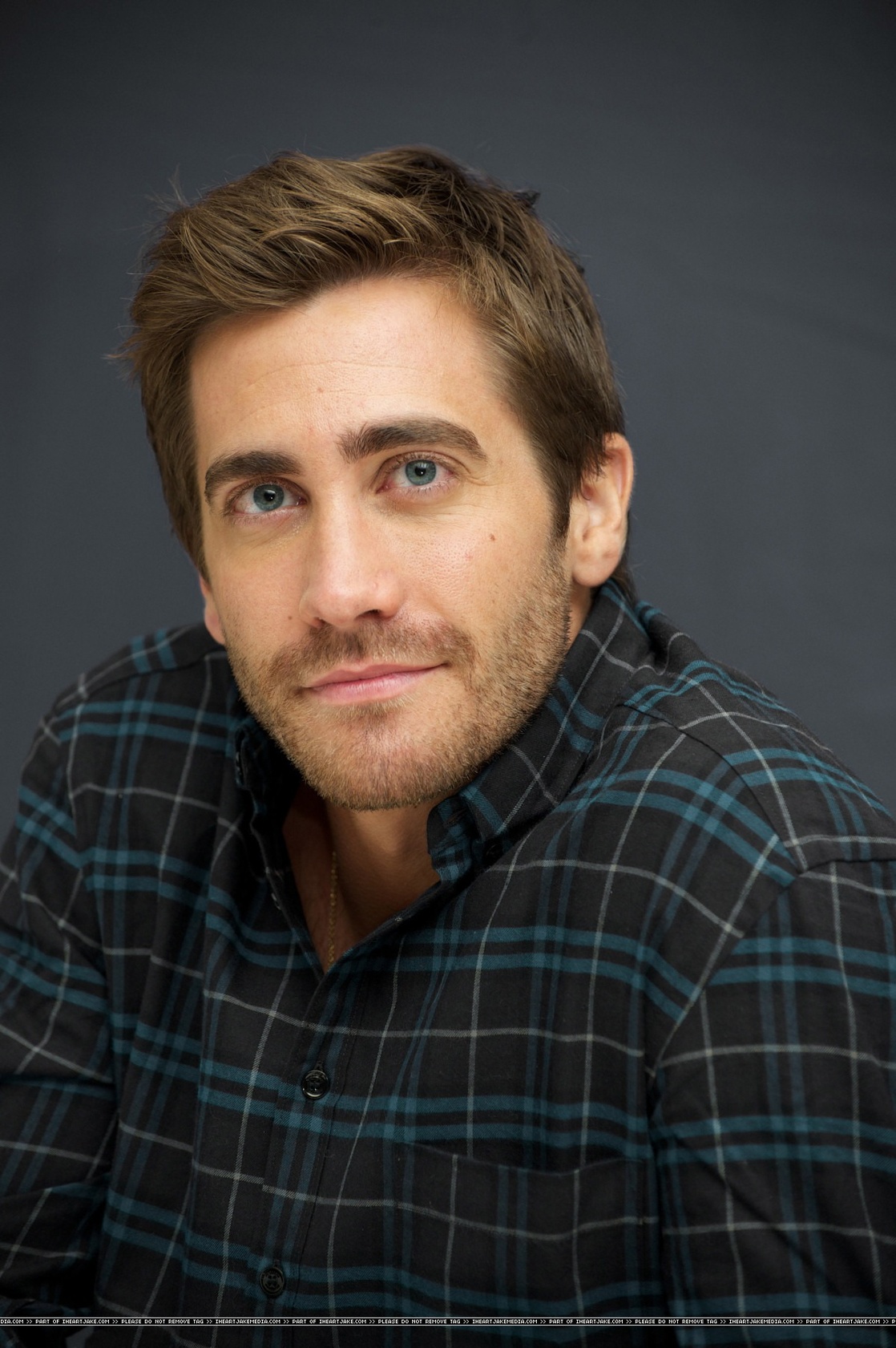 Picture of Jake Gyllenhaal