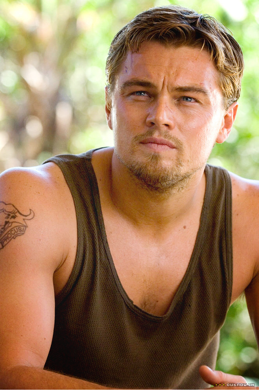 Leonardo DiCaprio picture