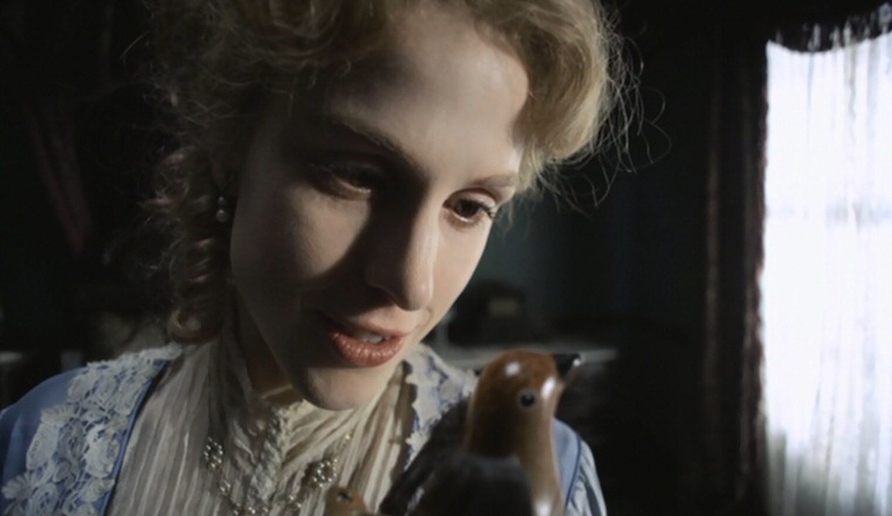 The Crimson Petal and the White picture