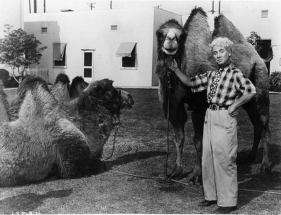 Picture of Harpo Marx