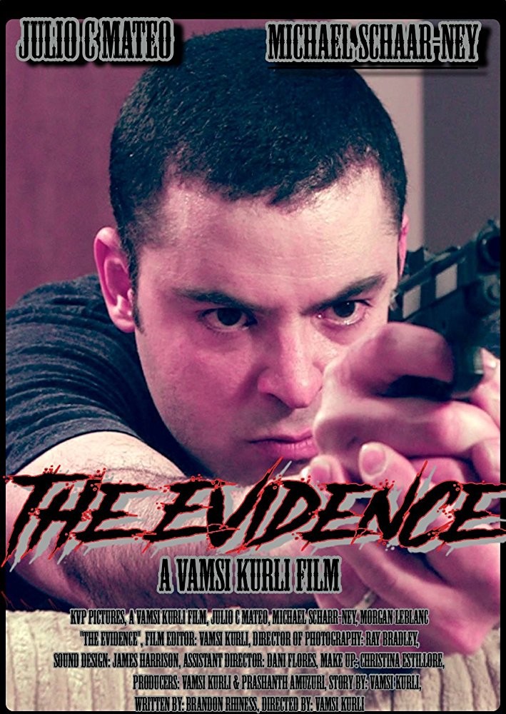 Image of The Evidence