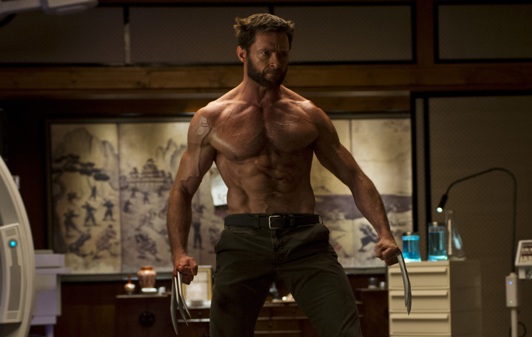 Picture of Wolverine / Logan (Hugh Jackman)