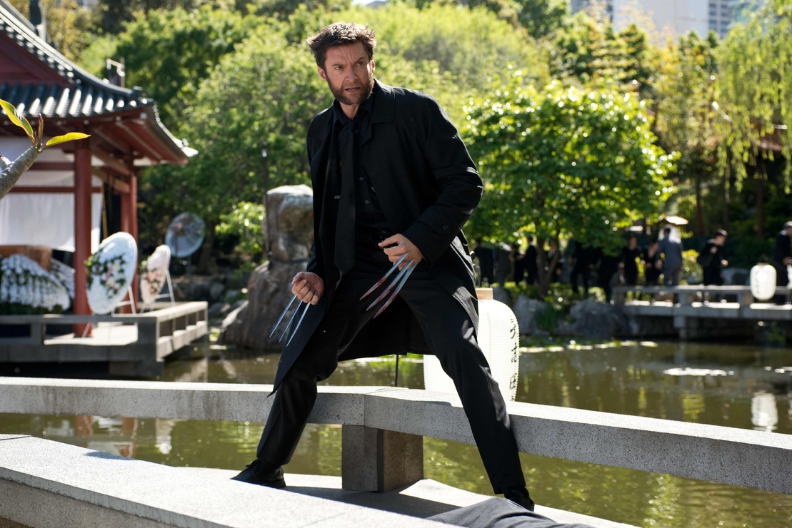 Picture of Wolverine/Logan (Hugh Jackman)