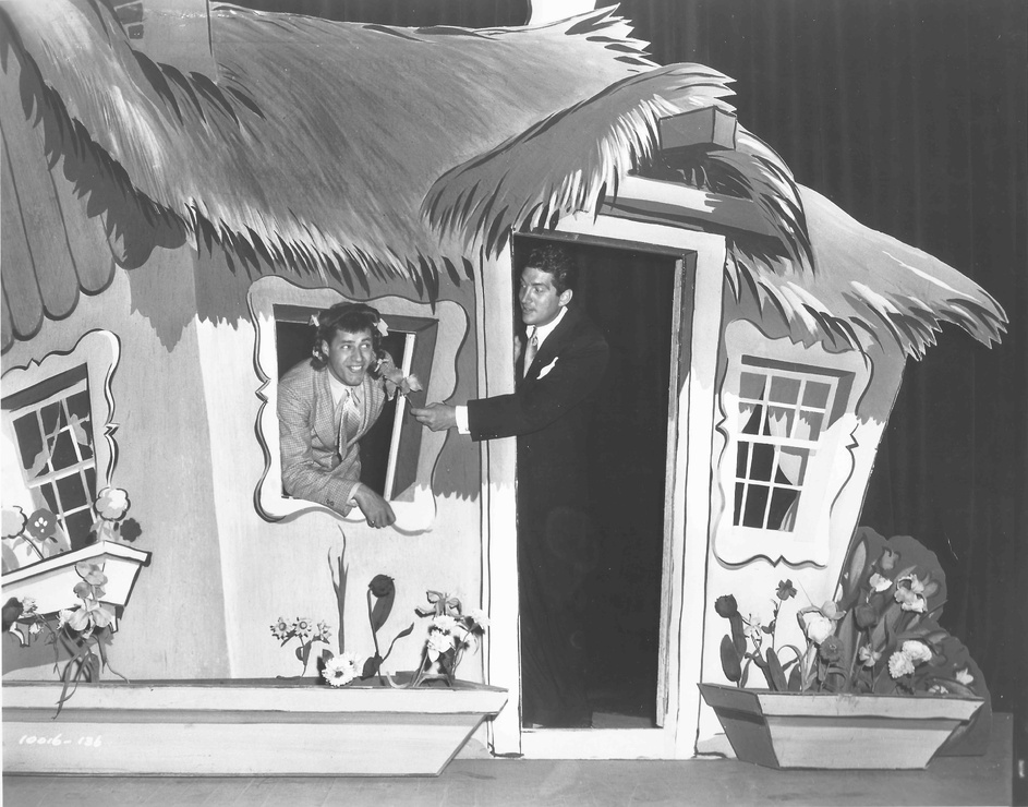 Picture of The Stooge