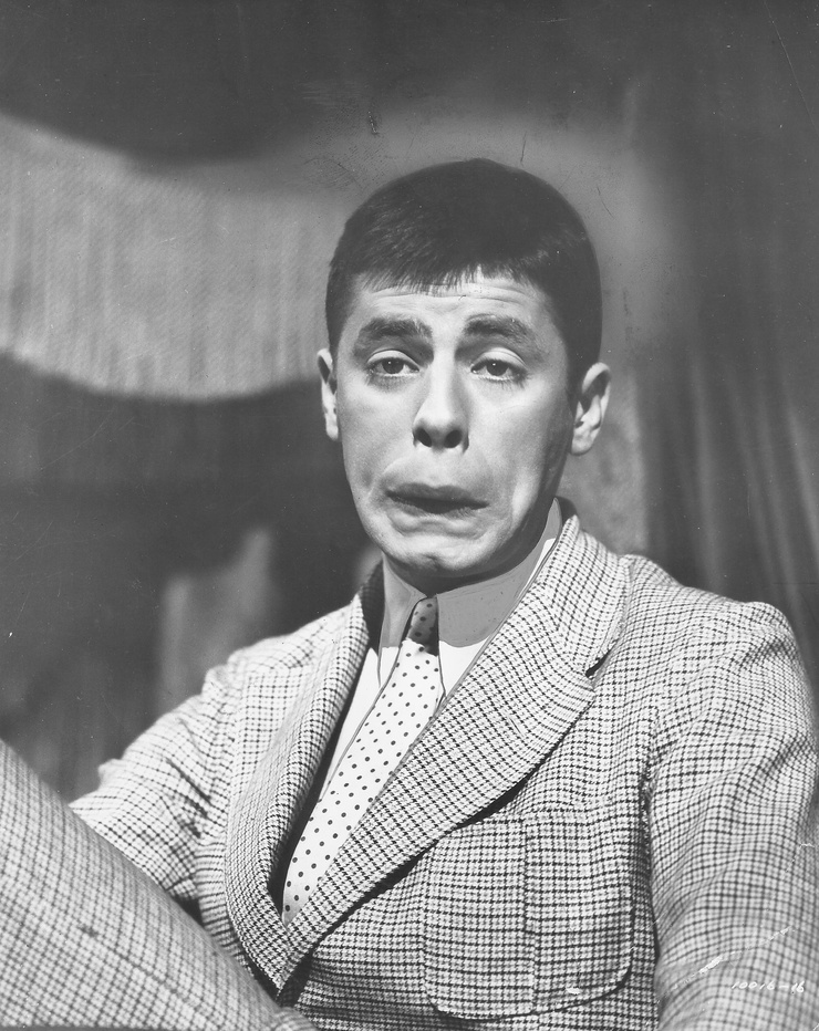 Picture of The Stooge