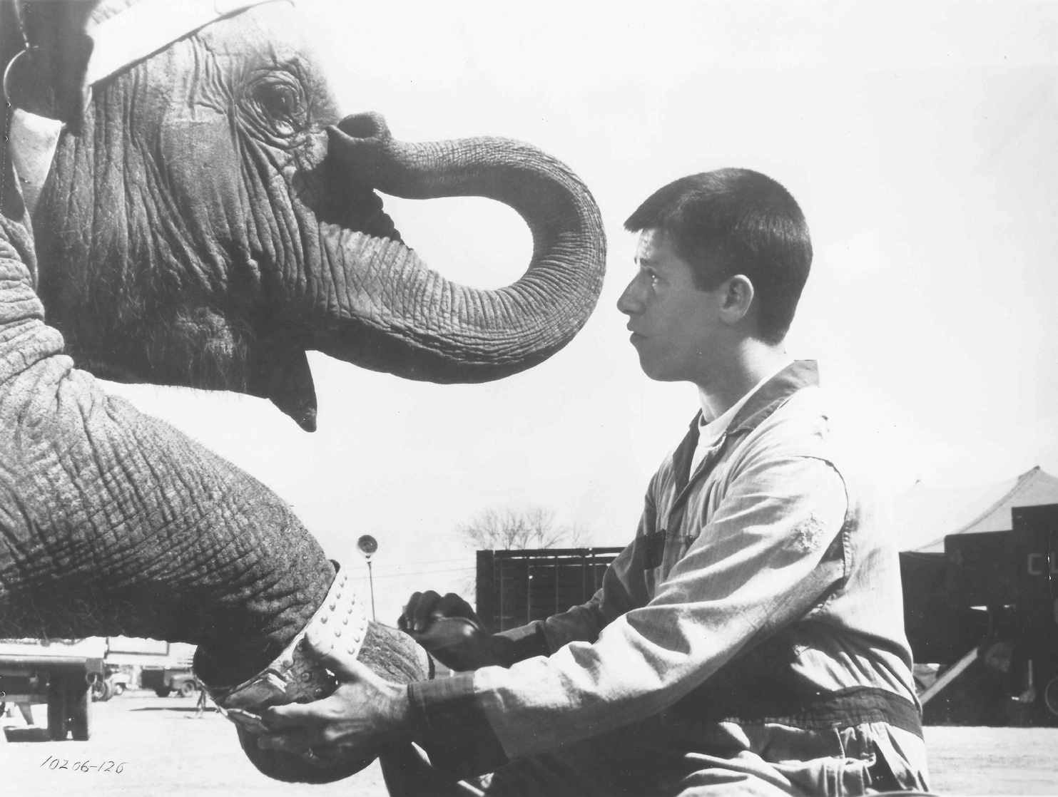 Image of 3 Ring Circus