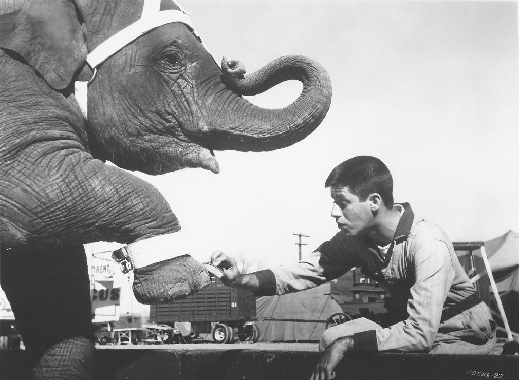 3 Ring Circus picture