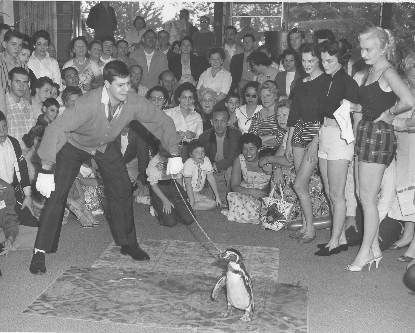 Picture of You're Never Too Young