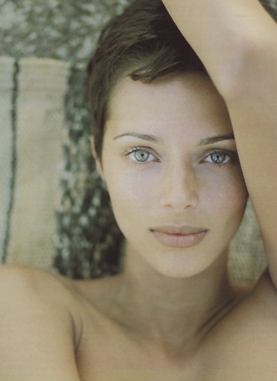 Heather Stewart Whyte