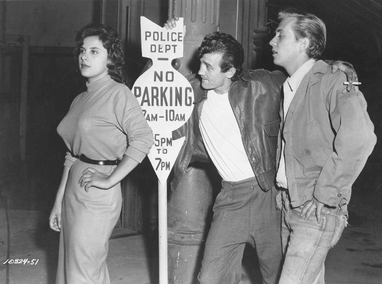 Picture of The Delicate Delinquent