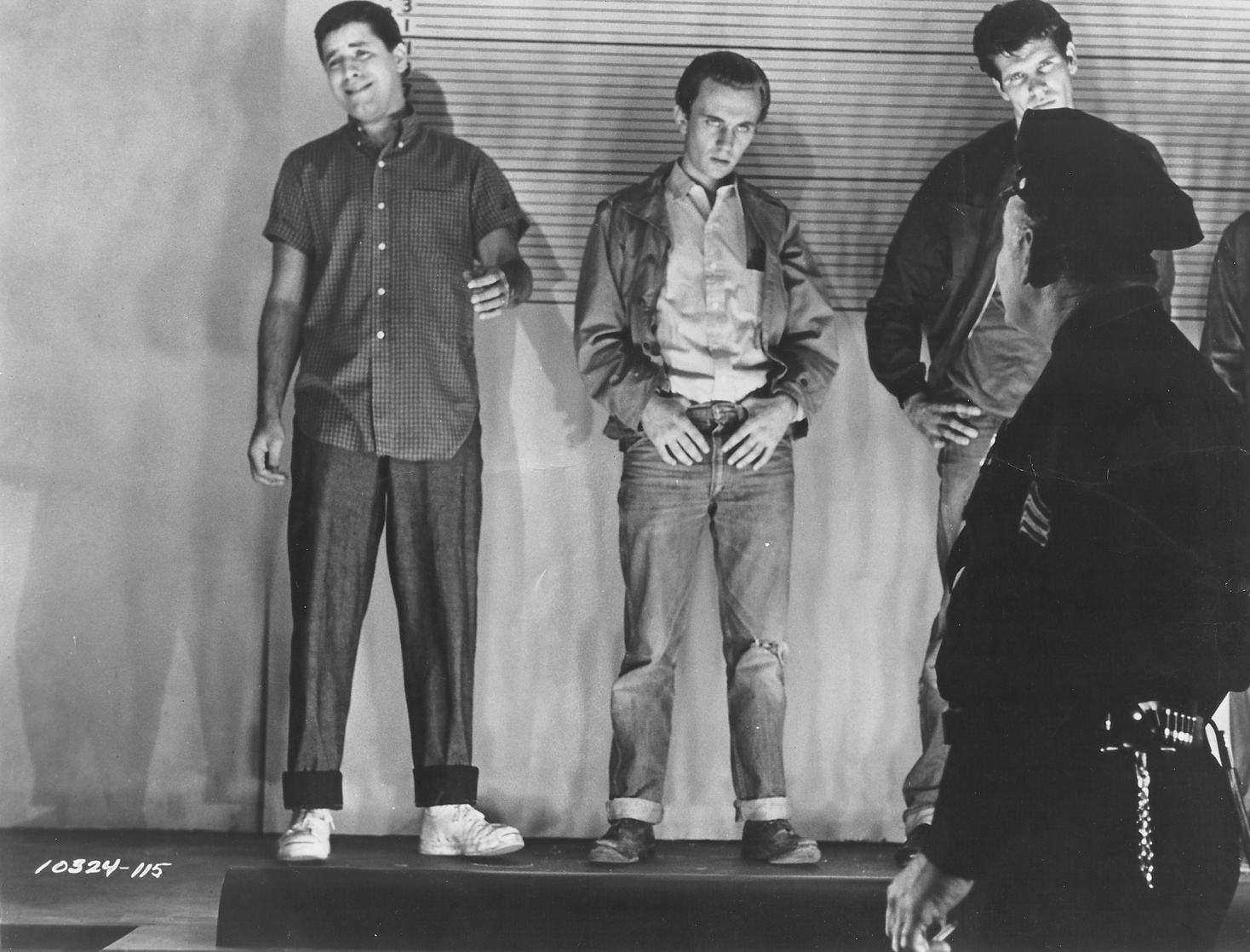 Picture of The Delicate Delinquent