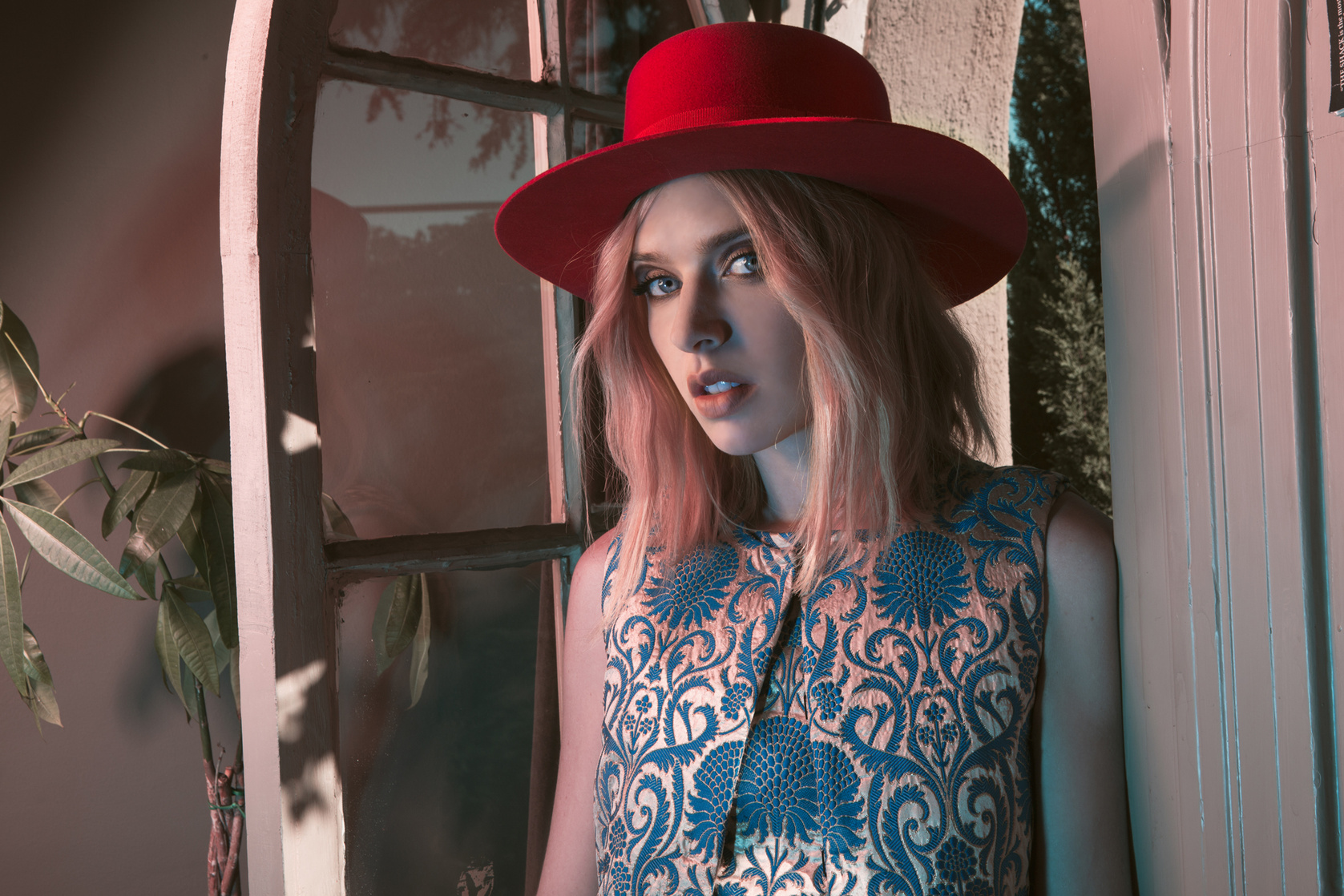 Picture of Zz Ward