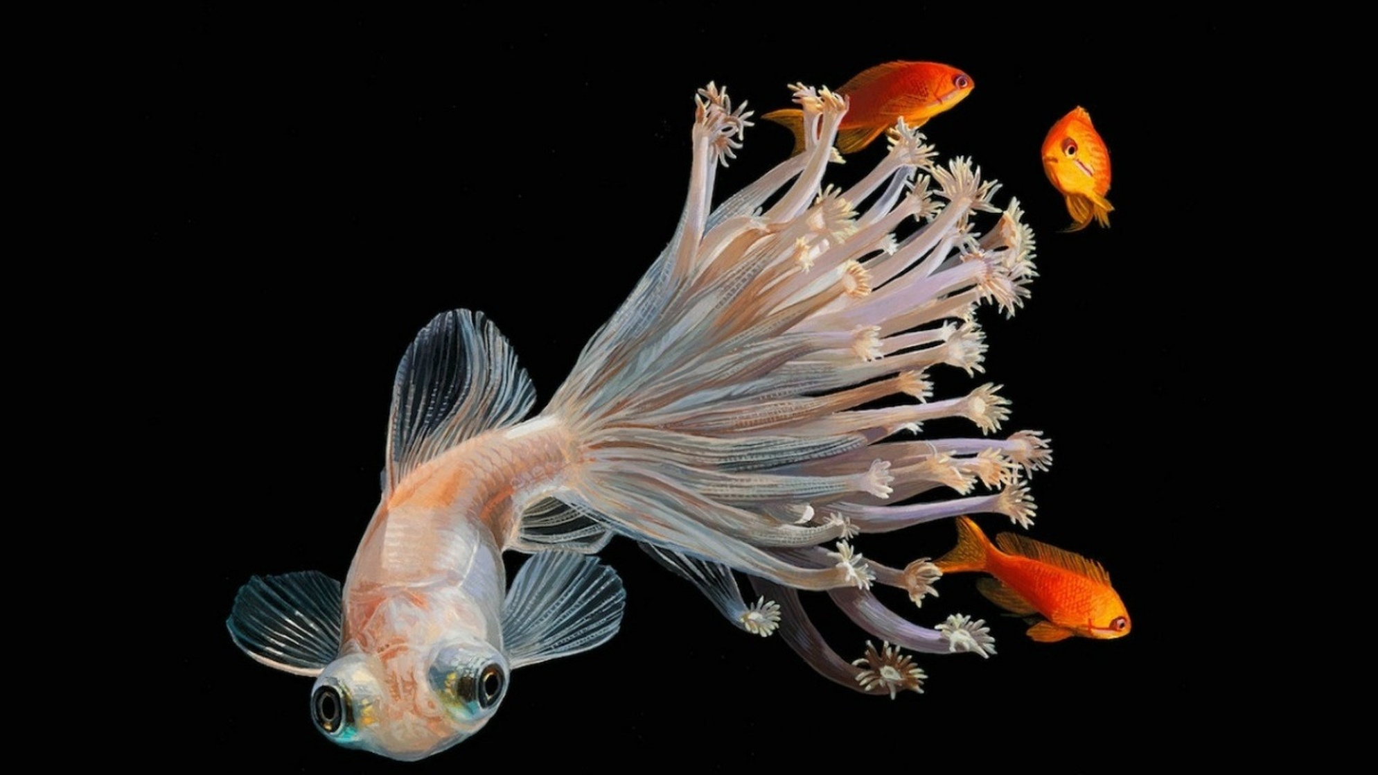 CUTE FISH - PEZ LINDO