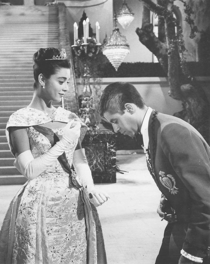 Picture of Cinderfella