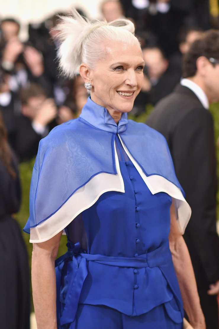 Picture of Maye Musk