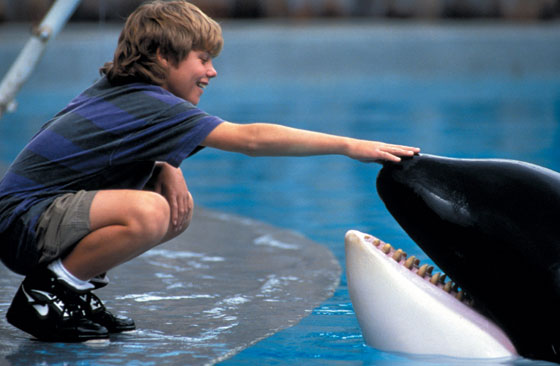 Picture of Free Willy