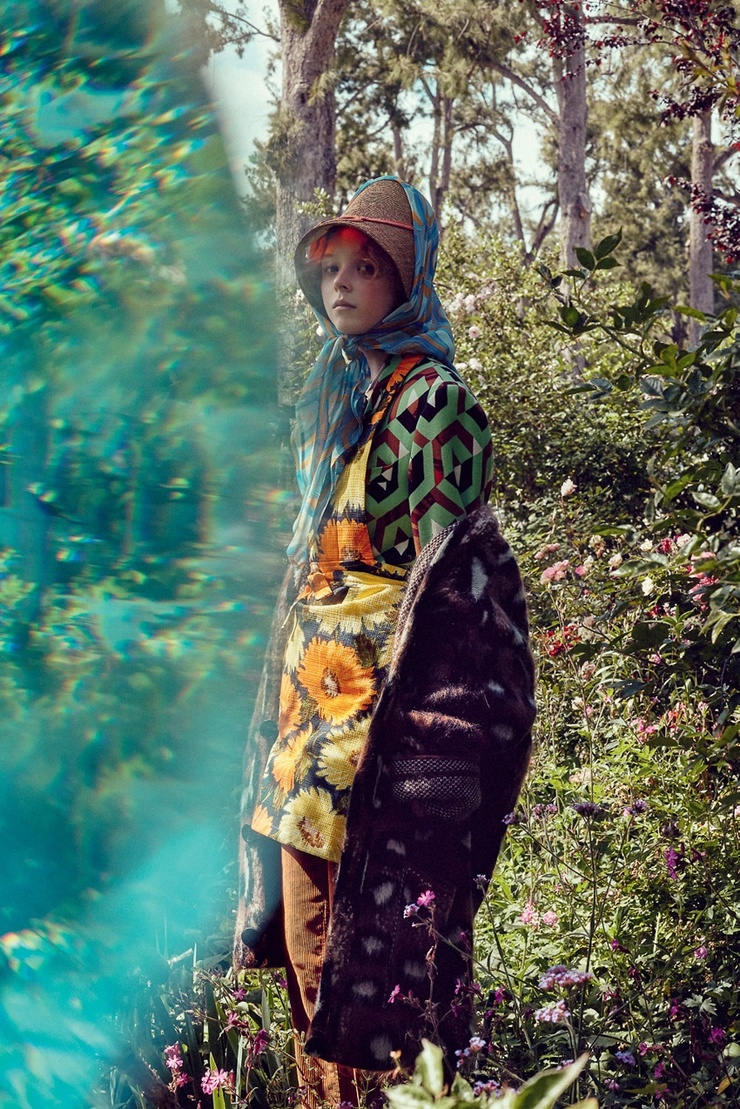 Picture of Lily Nova