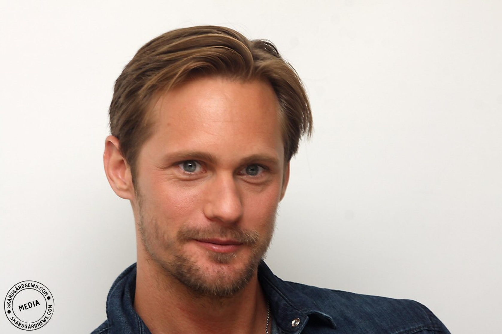 Alexander Skarsgård image