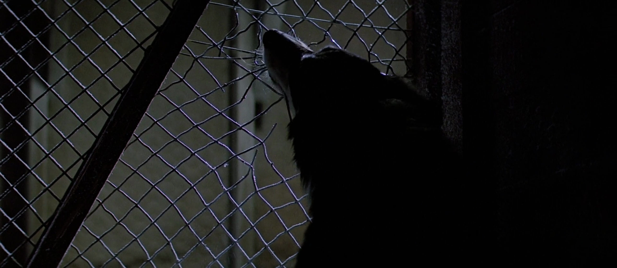 Picture of The Thing