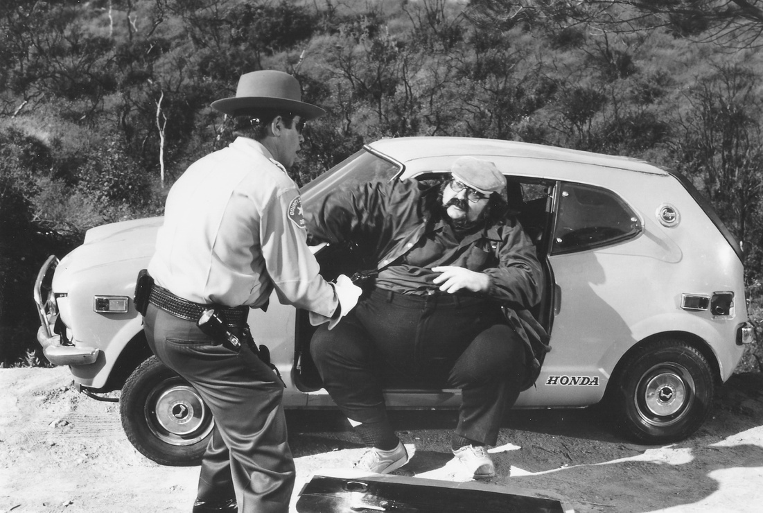 Picture of Cracking Up