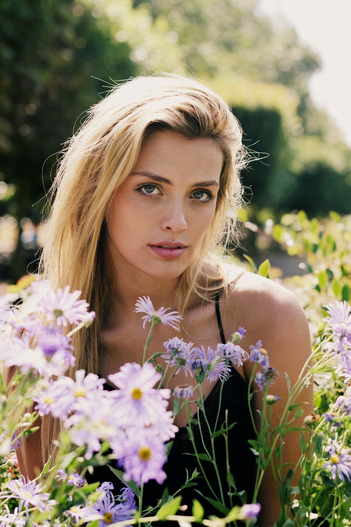 Wallis Day
