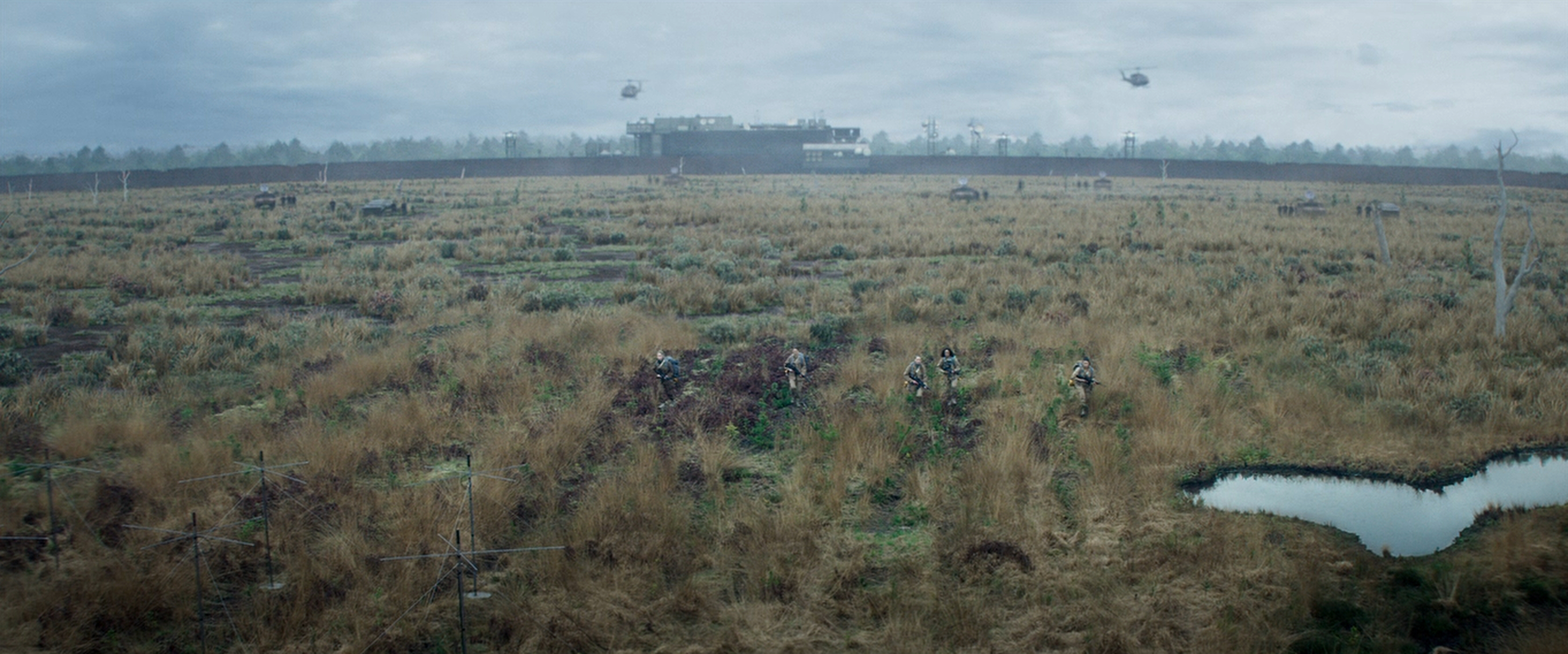 Picture of Annihilation