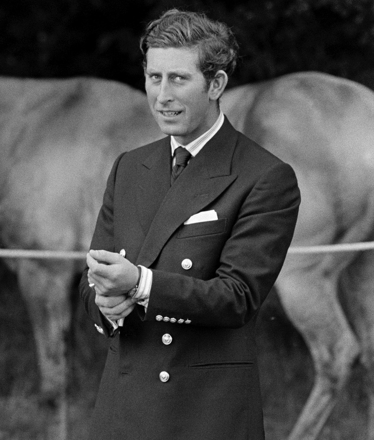 Picture of Prince Charles