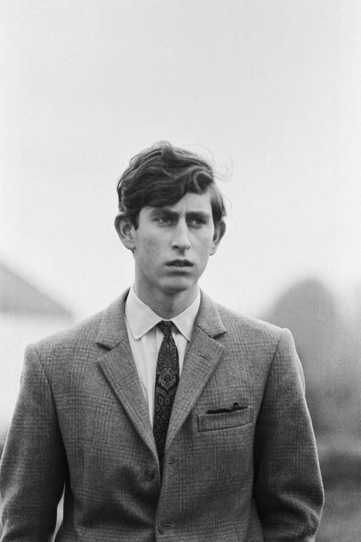 Picture of Prince Charles
