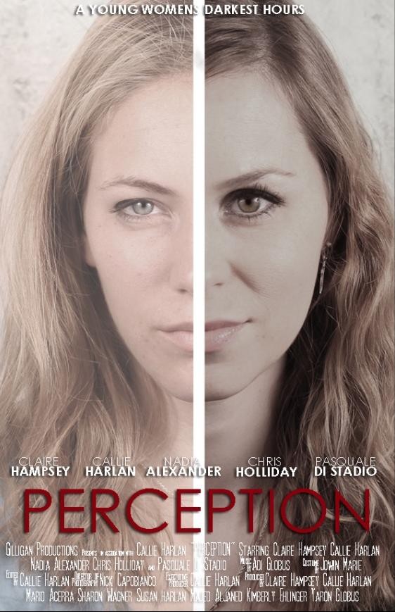 Picture of Perception