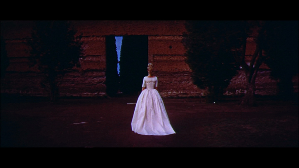 Picture of Blood and Roses