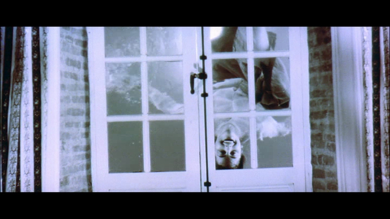 Image of Blood and Roses