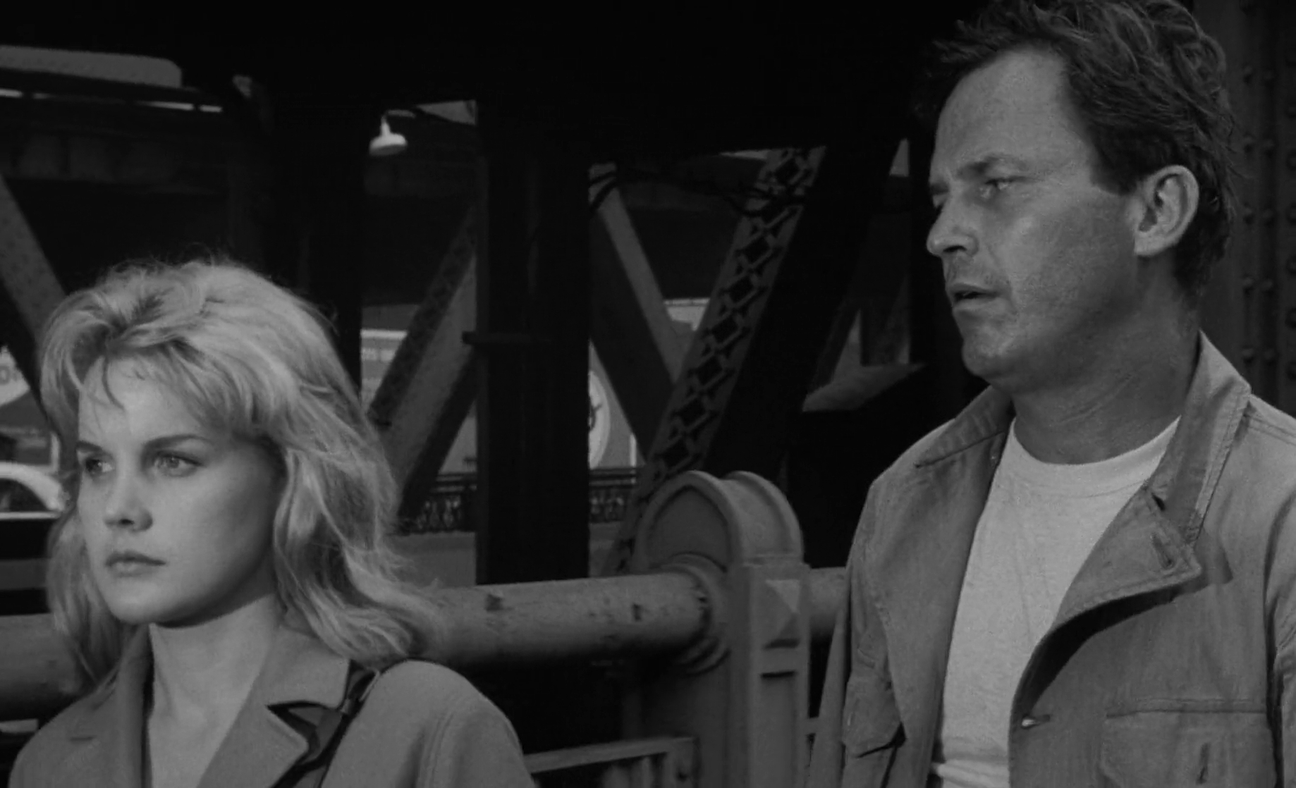 Picture of Something Wild