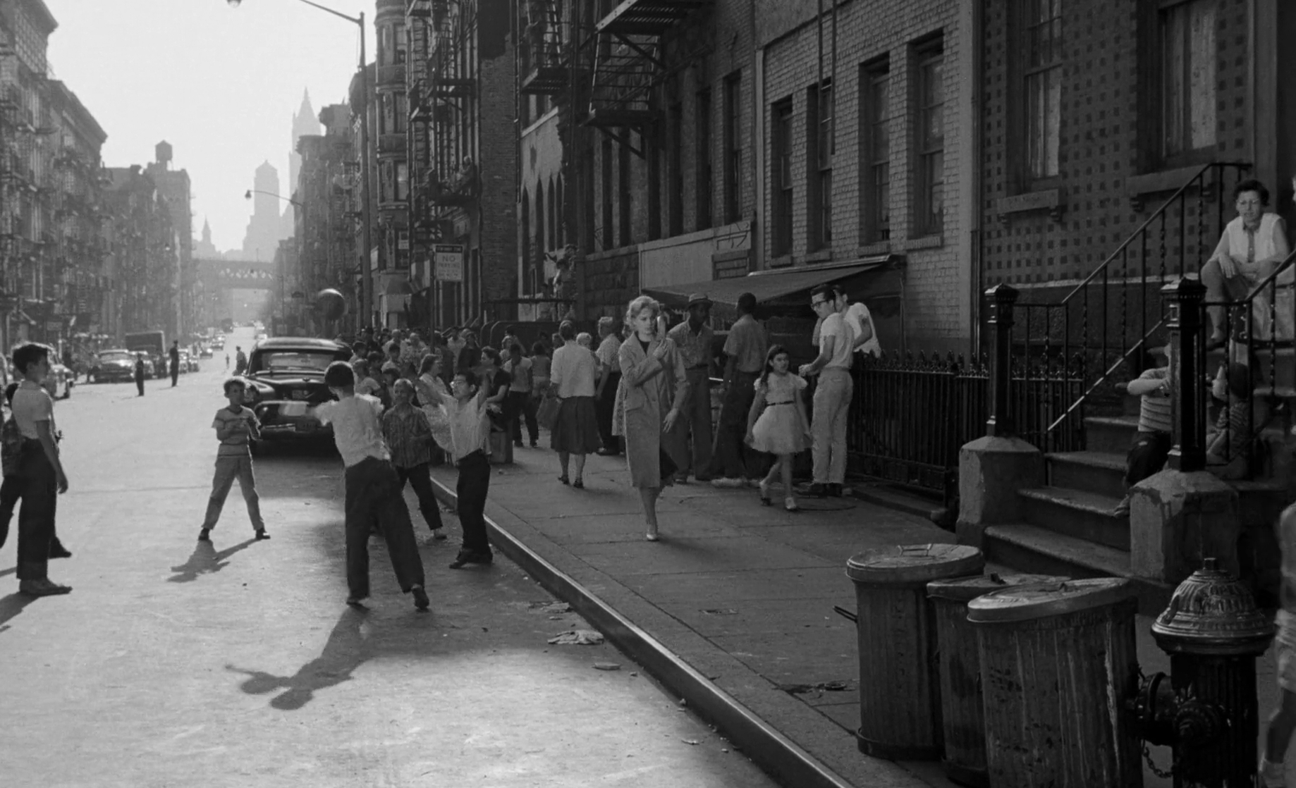 Picture of Something Wild