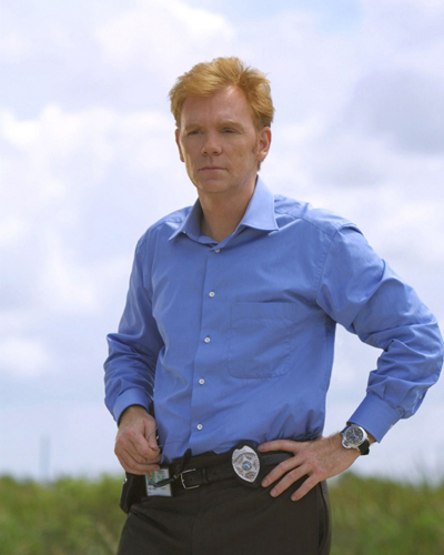 Horatio Caine picture