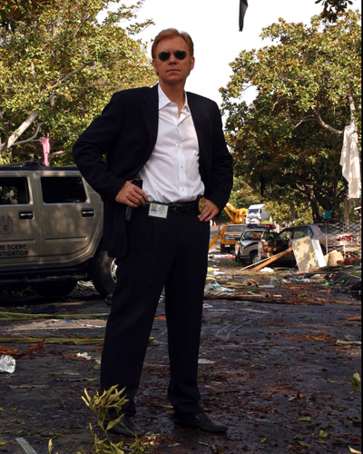 Horatio Caine picture