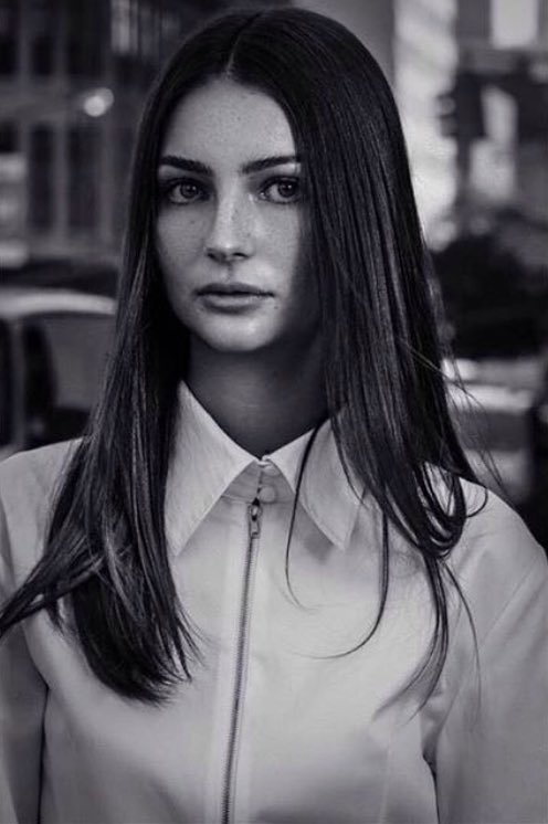Meadow Walker image