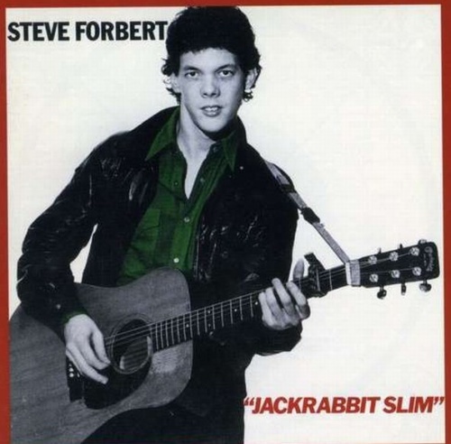 Steve Forbert image