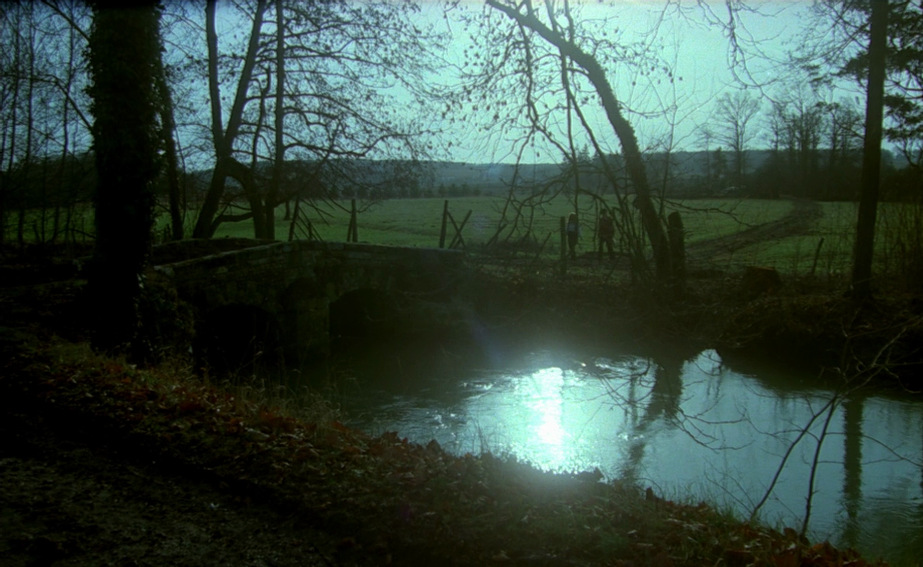 Fascination (1979) image