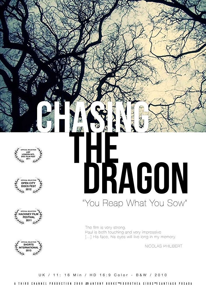 Picture of Chasing the Dragon