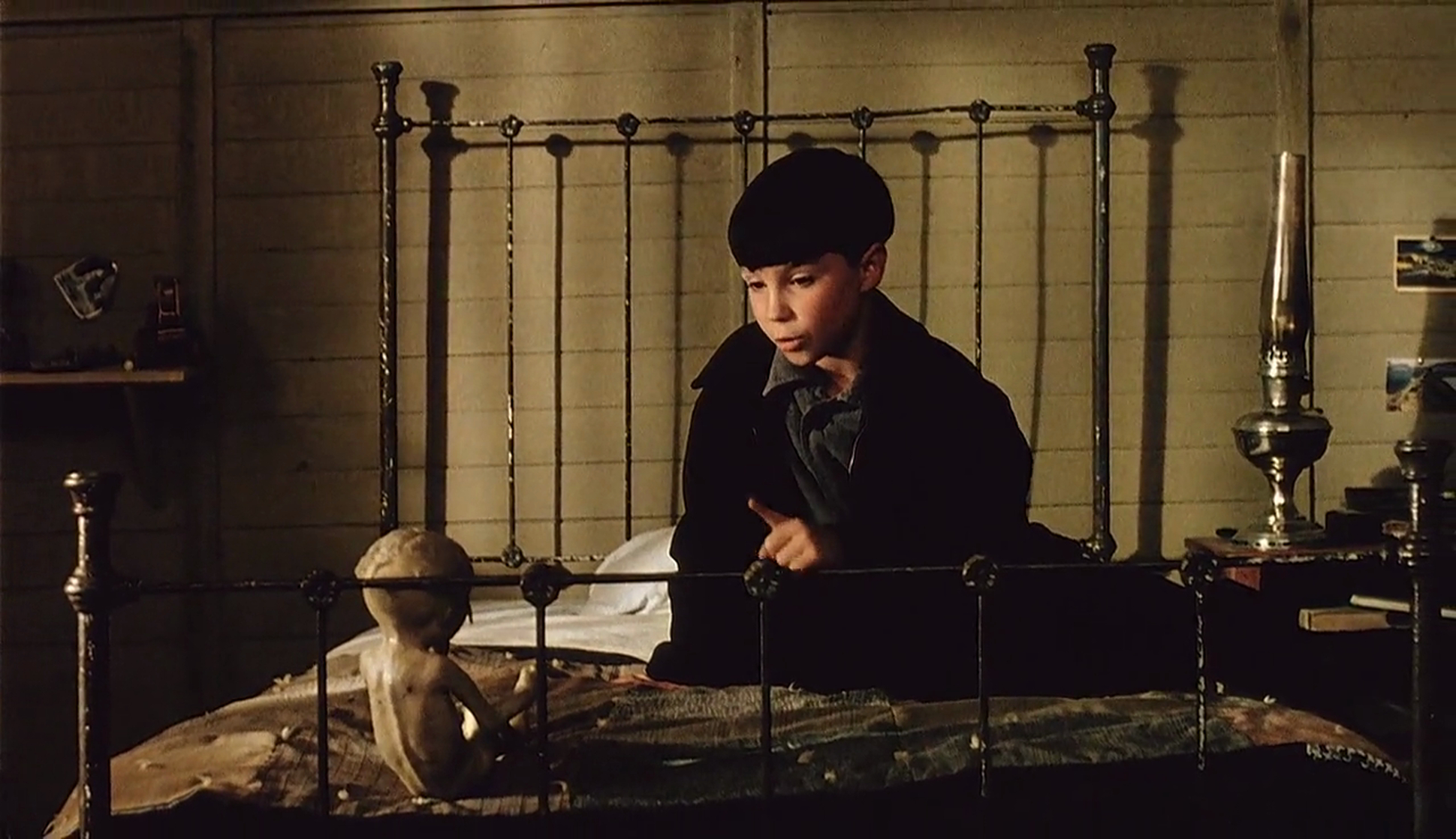 Picture of The Reflecting Skin