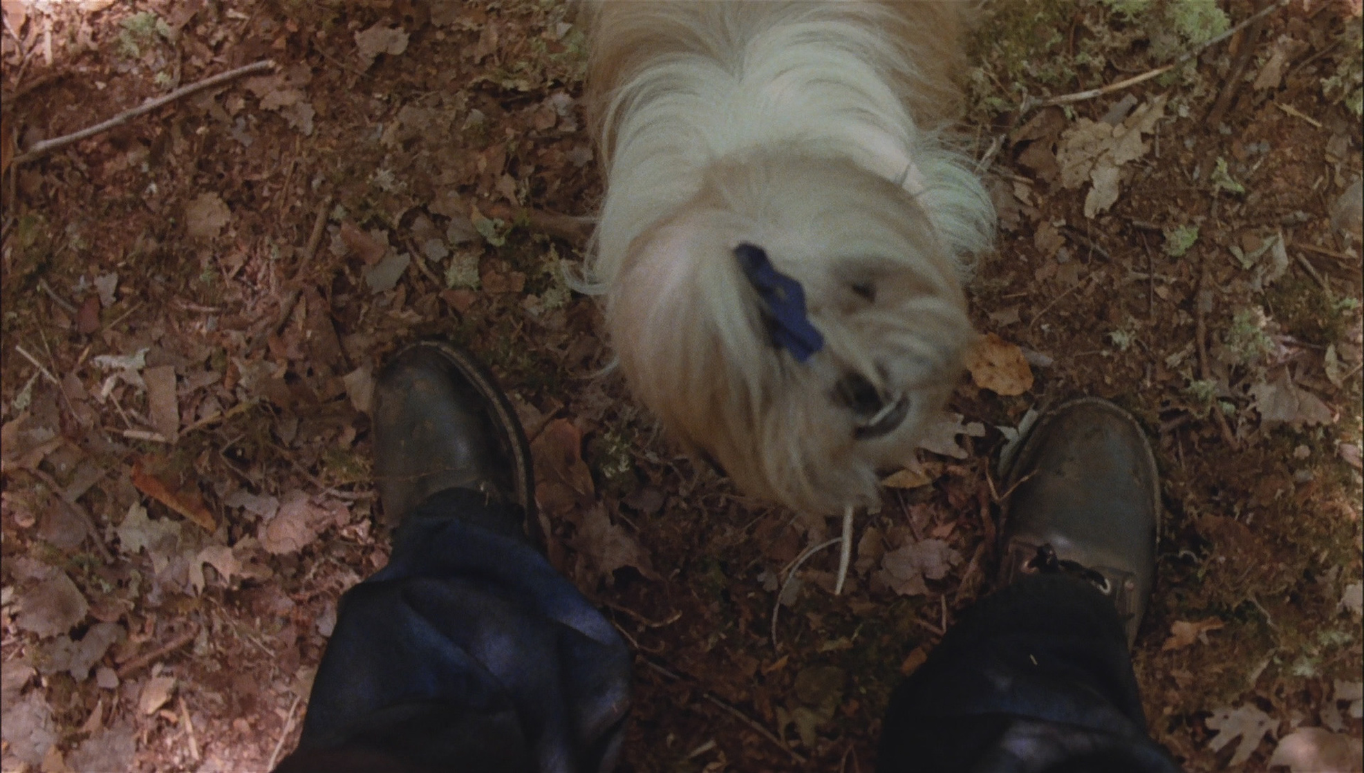 Friday the 13th Part 2 image