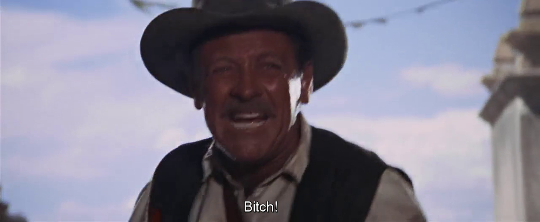 Picture of The Wild Bunch