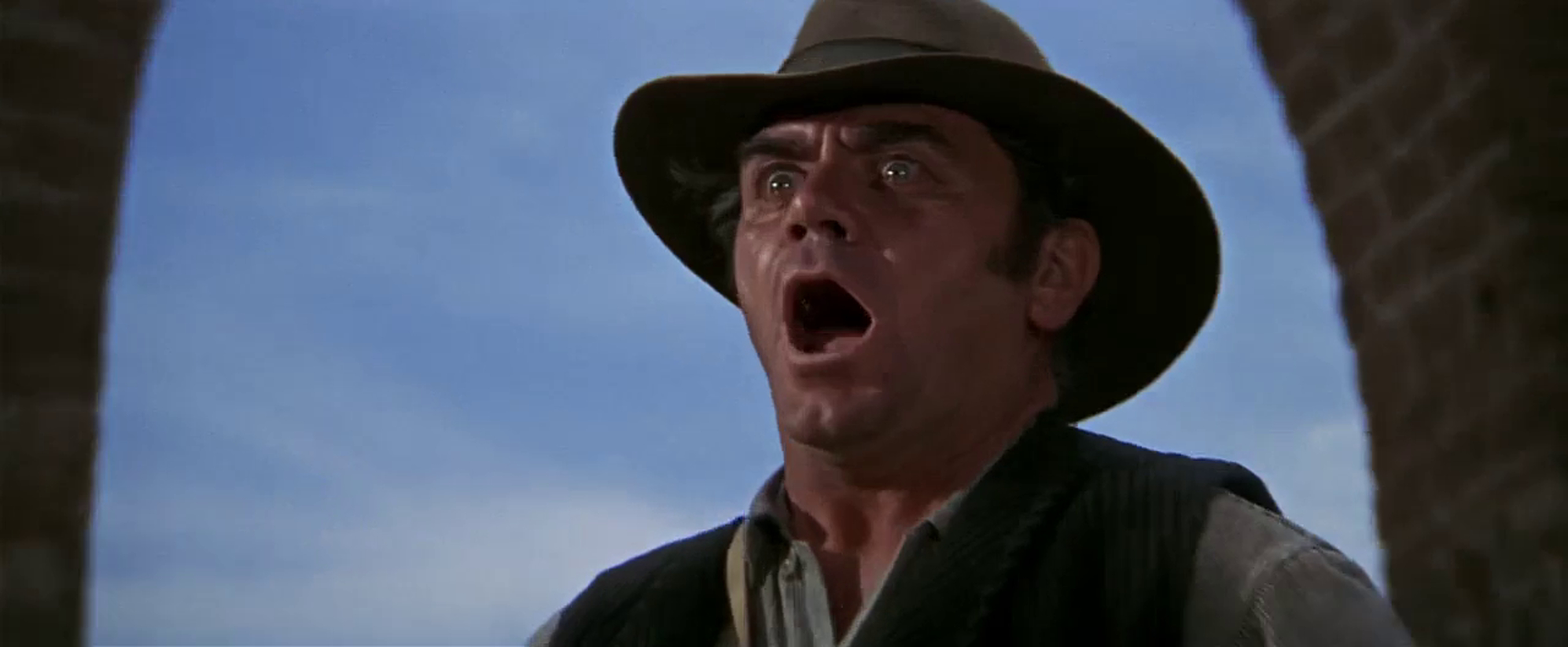 The Wild Bunch picture