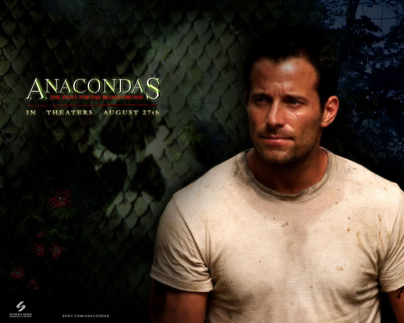 Picture of Johnny Messner