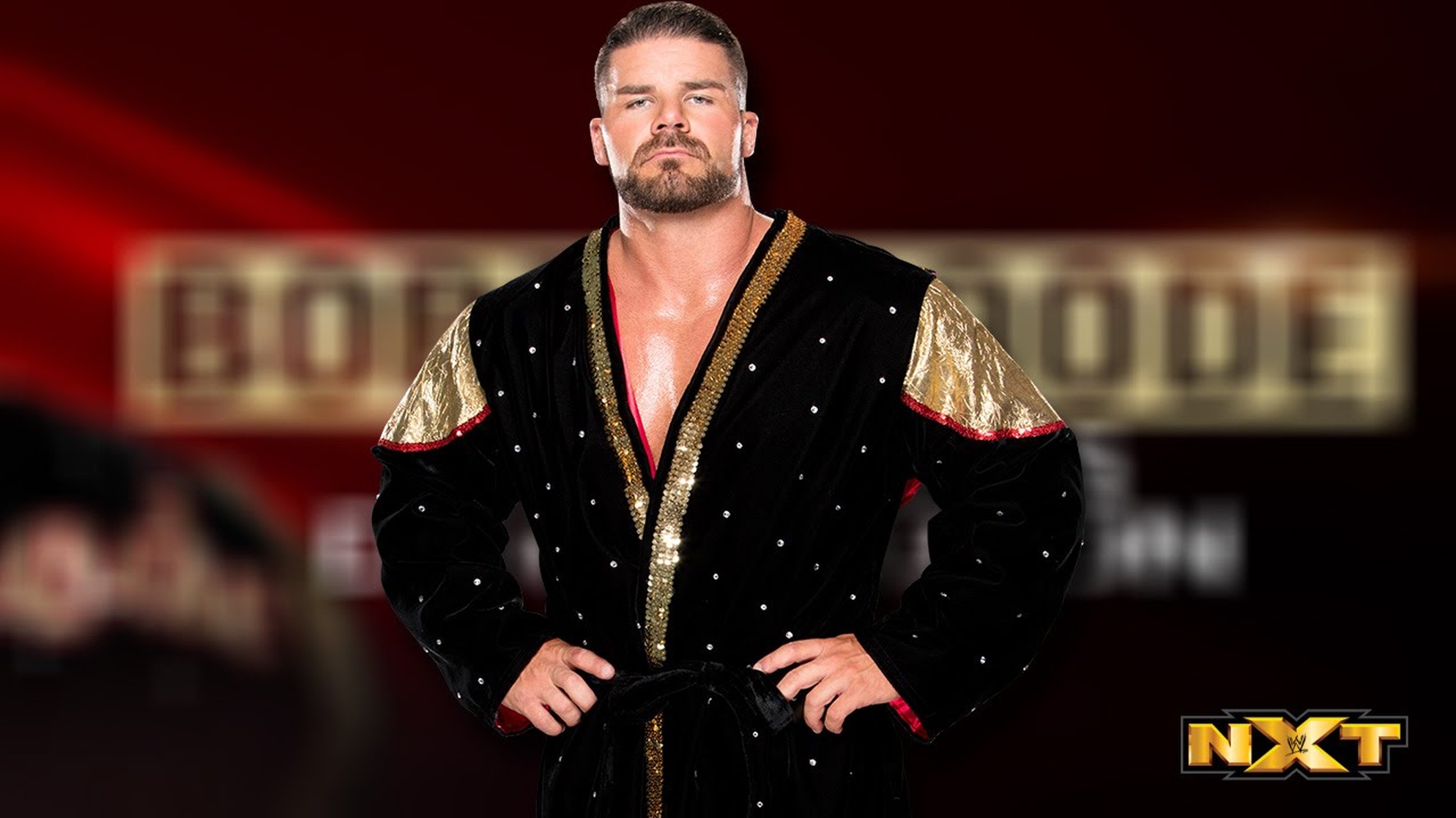 Picture of Bobby Roode