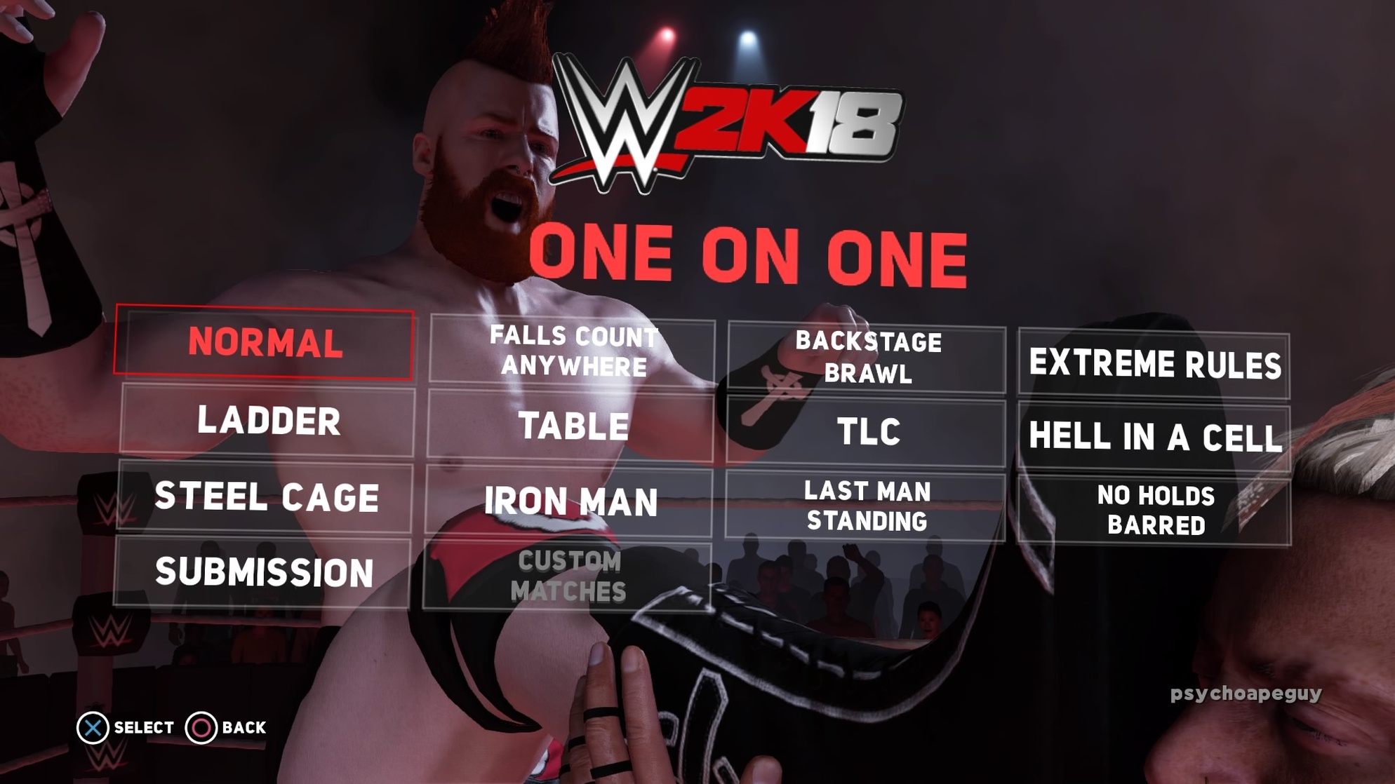 WWE 2K18 picture