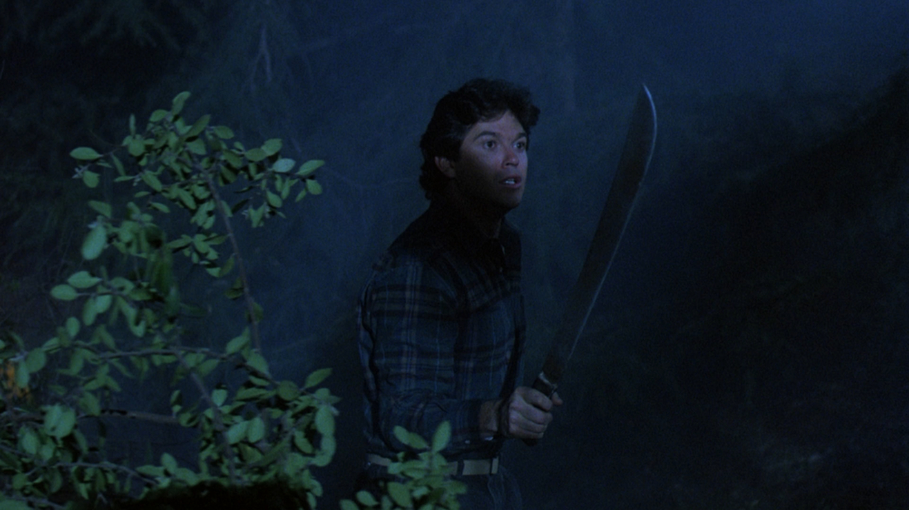 Picture of Friday the 13th Part IV: The Final Chapter